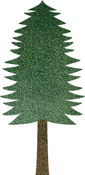 森を活用する | TRACEABLE TREE 土井木工株式会社