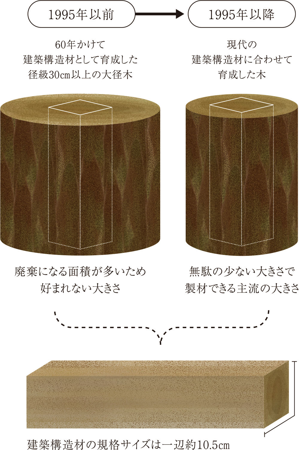 森を活用する | TRACEABLE TREE 土井木工株式会社