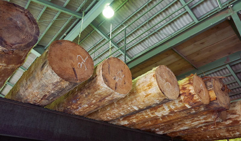 森を活用する | TRACEABLE TREE 土井木工株式会社