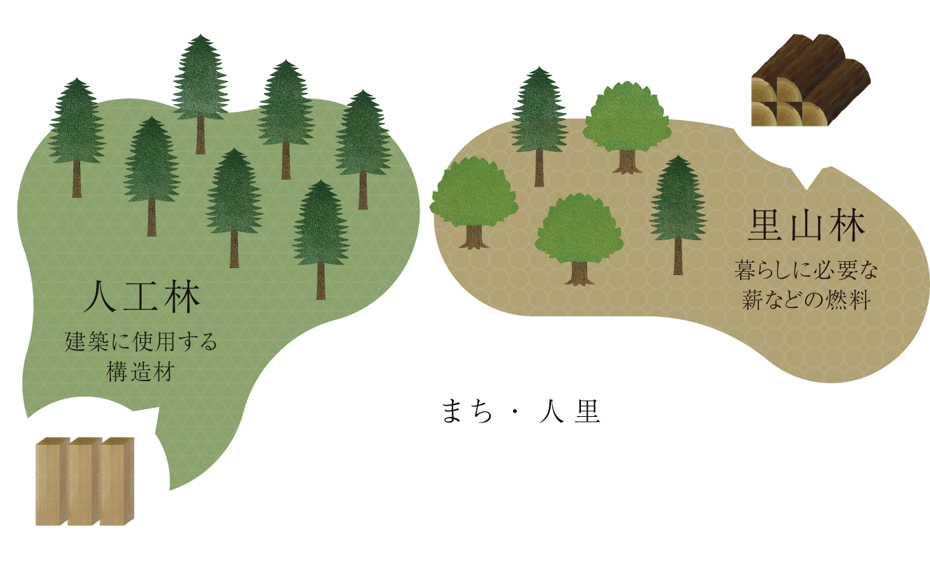 森を活用する | TRACEABLE TREE 土井木工株式会社