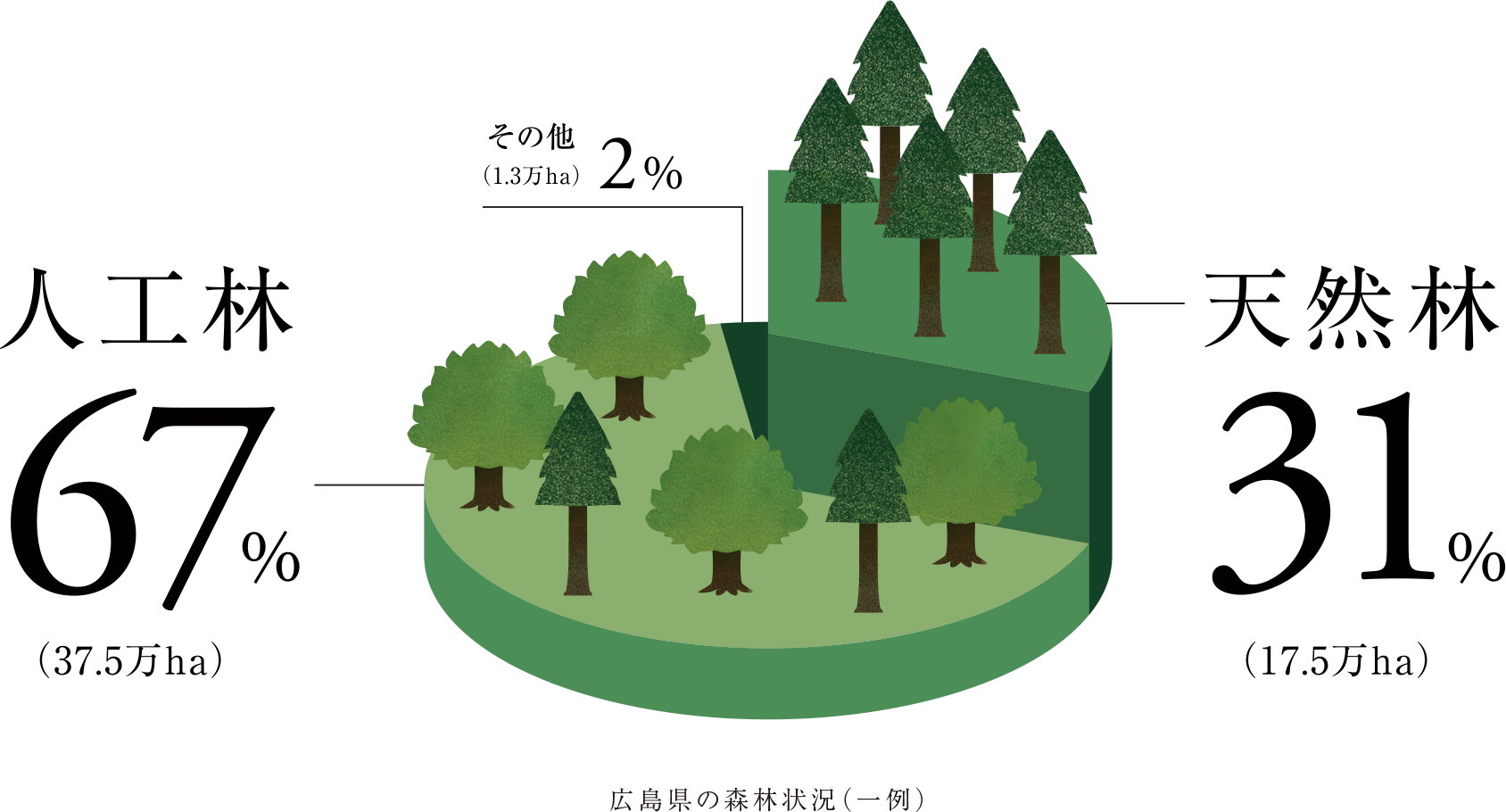 森を活用する | TRACEABLE TREE 土井木工株式会社